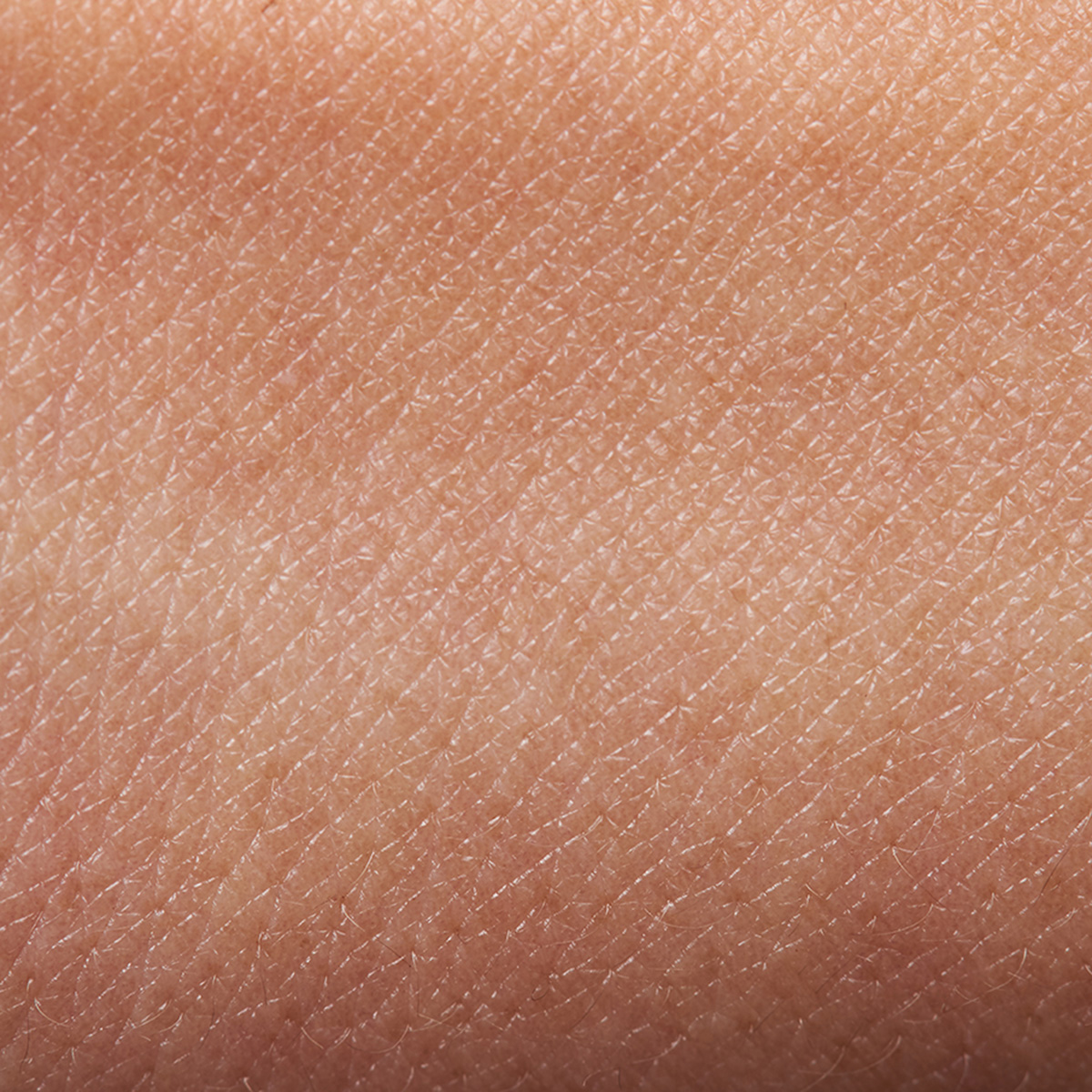 The Skin – your largest organ - pHformula